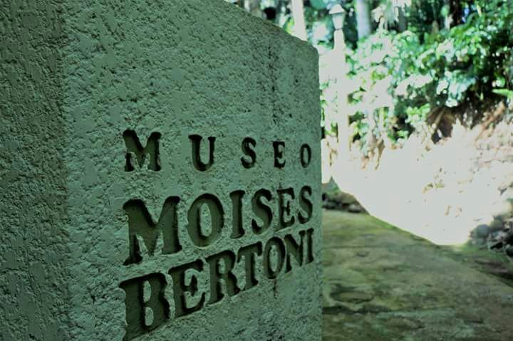 Circuito fluvial permitirá apreciar el monumento científico Moisés ...