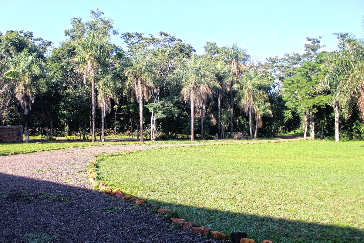 Momora, Glamping, Rainforest, and a Historical Rescue in Santa Ana ...