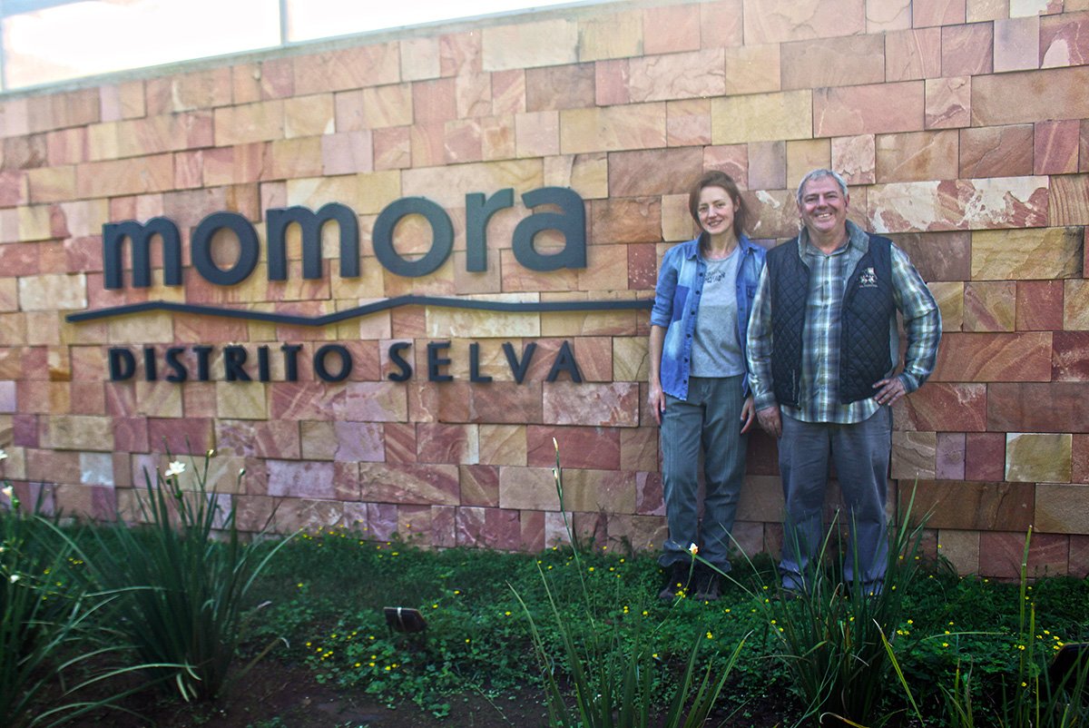 Momora, Glamping, Rainforest, and a Historical Rescue in Santa Ana ...