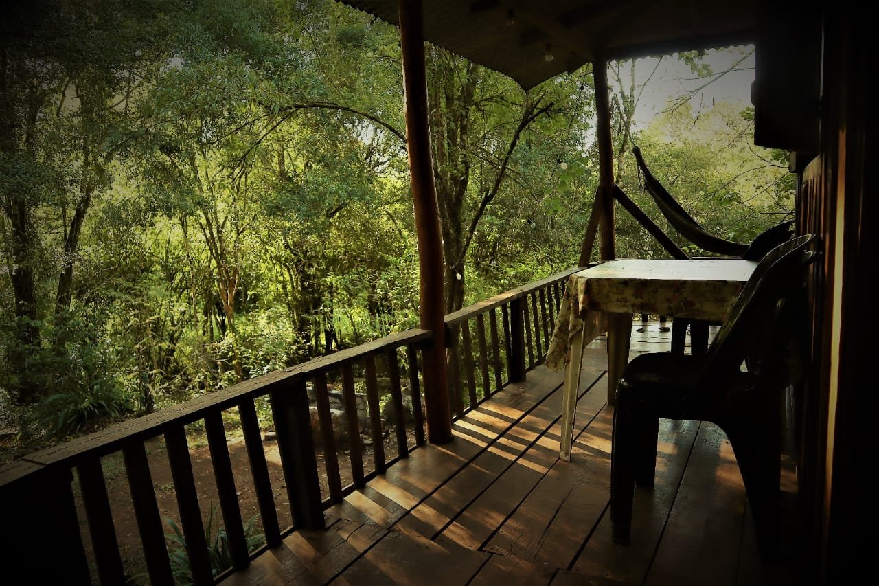 Coatí Lodge, naturaleza, calma y una inédita apuesta a las tarifas en ...