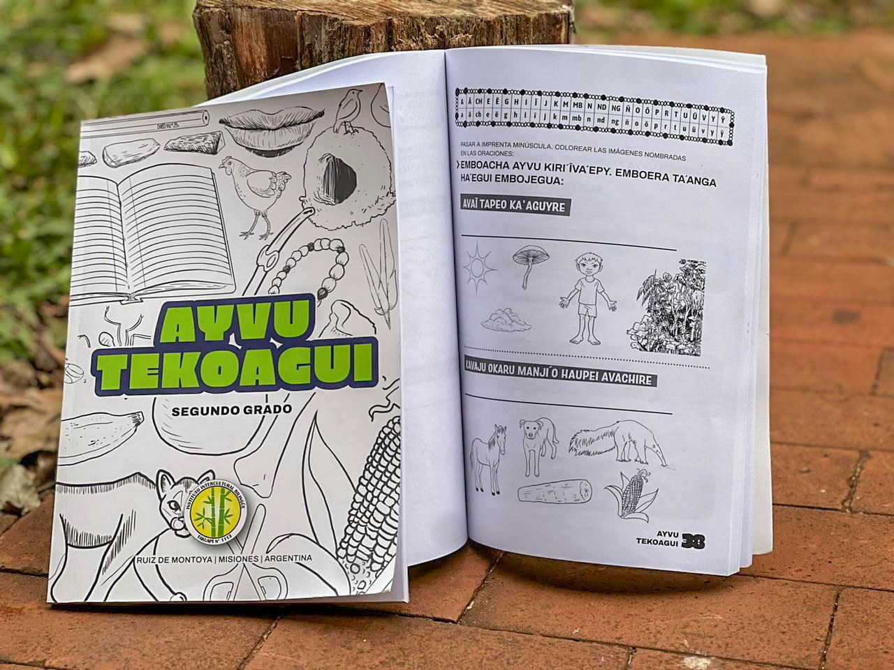 Nuevo manual gratuito para enseñar a leer y escribir a niños mbya ...