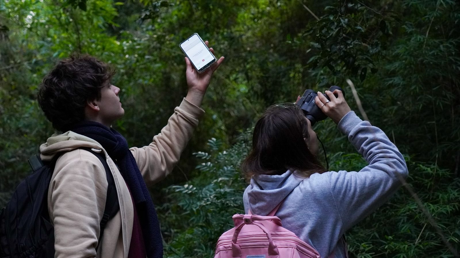 Cultura, cine y naturaleza en Colonia Alberdi : Economis
